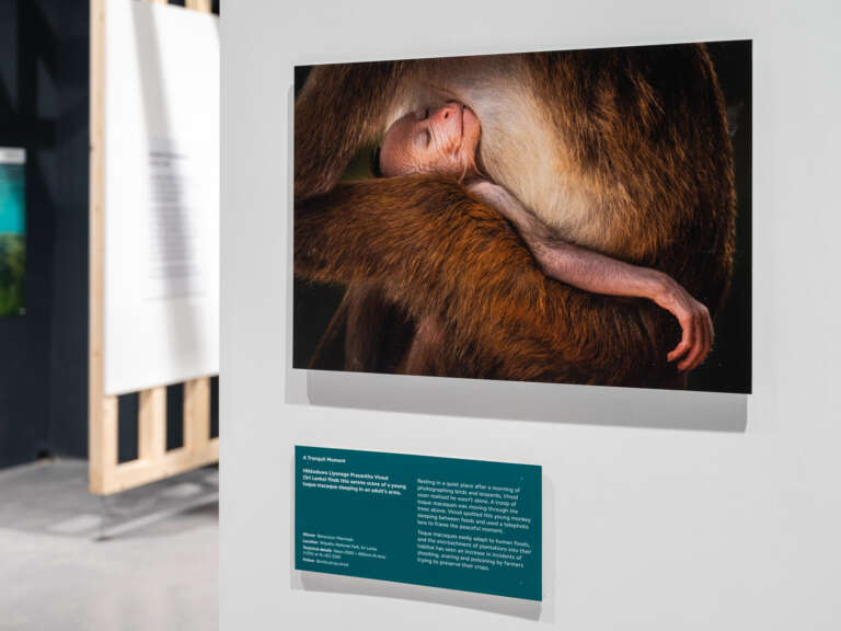Mather & Co | 'Wildlife Photographer of the Year' Exhibition at…
